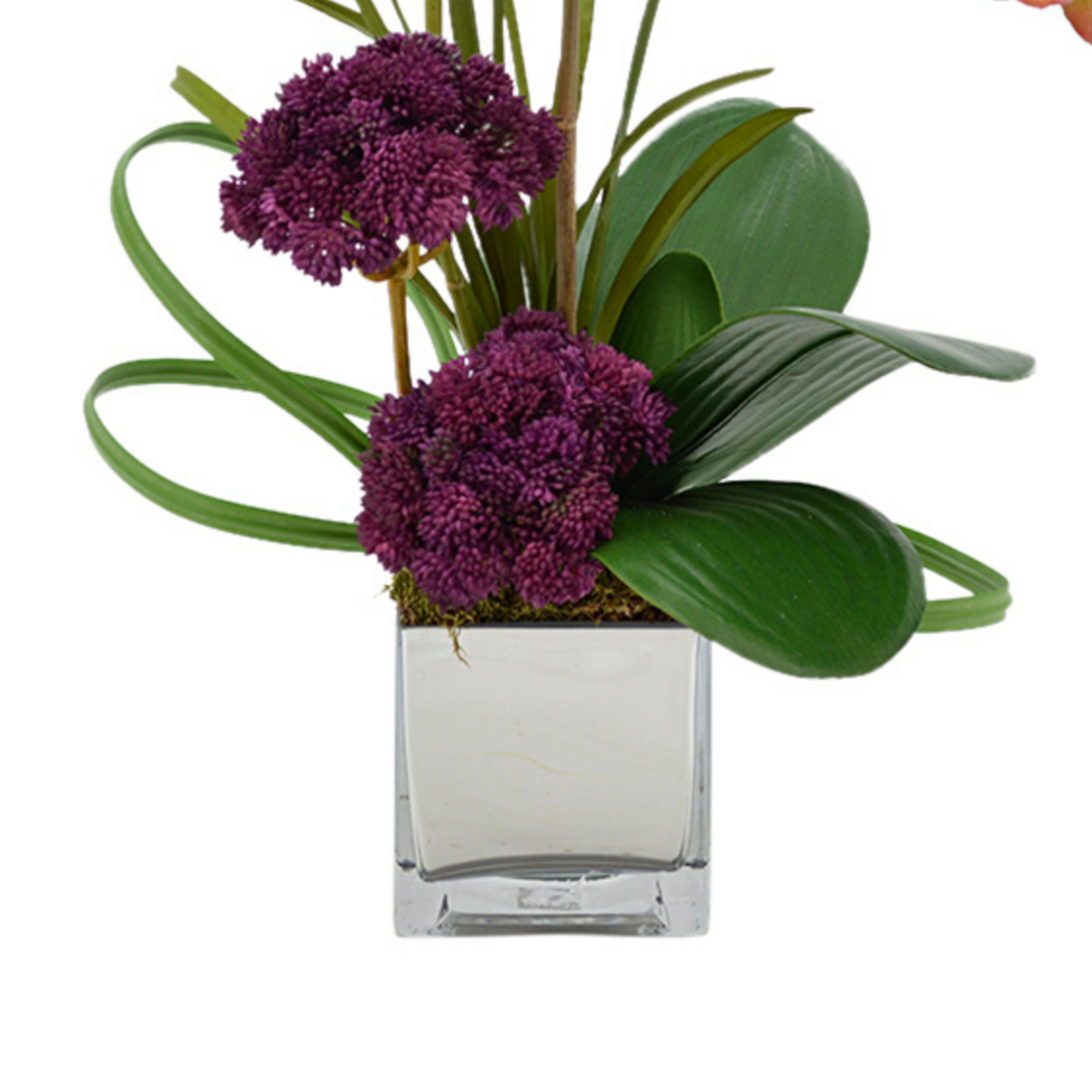 Orchid Arrangement With Sedum In Silver Glass Vase | Flower Arrangements
