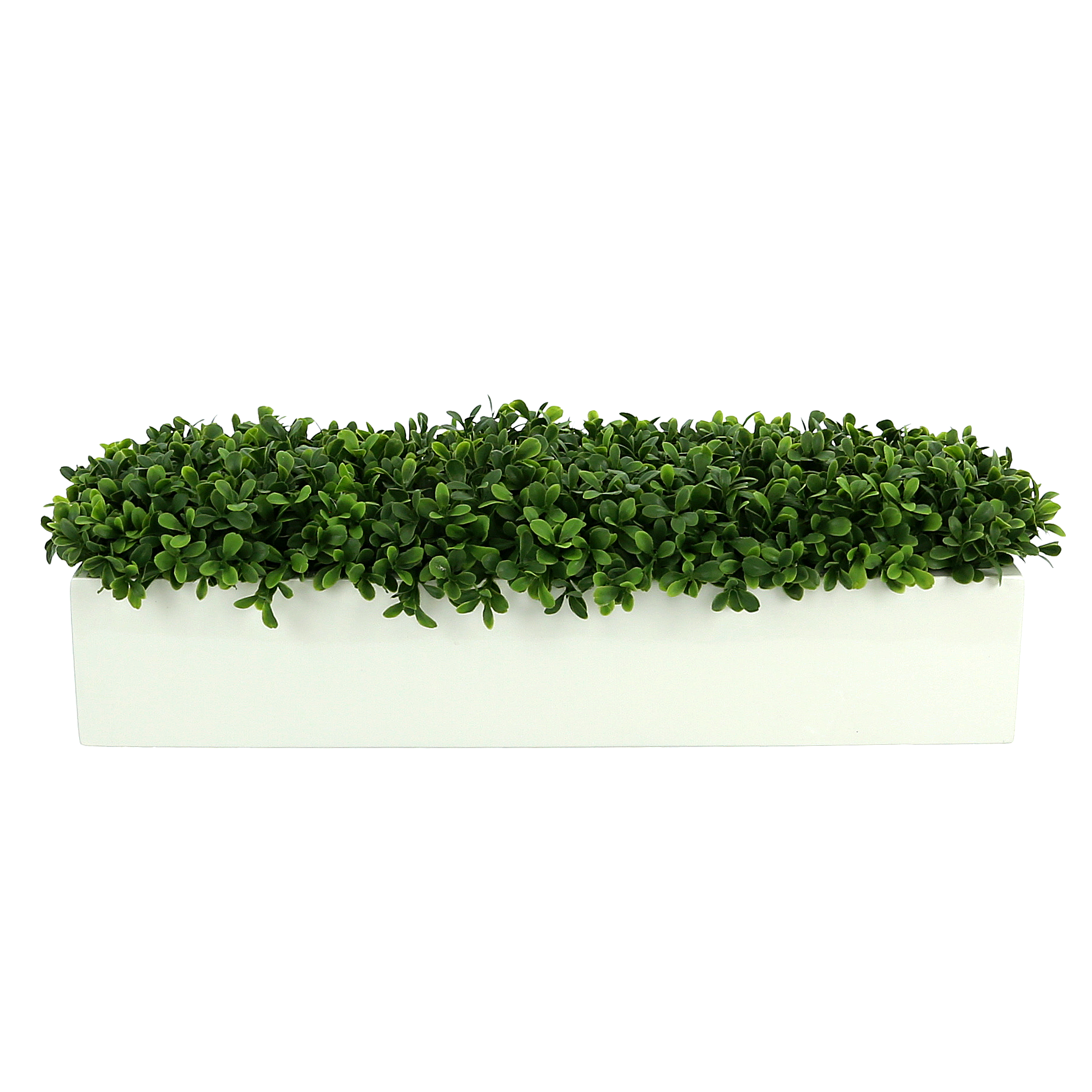 Boxwoods Arranged In A White Rectangular Planter | Faux Plants