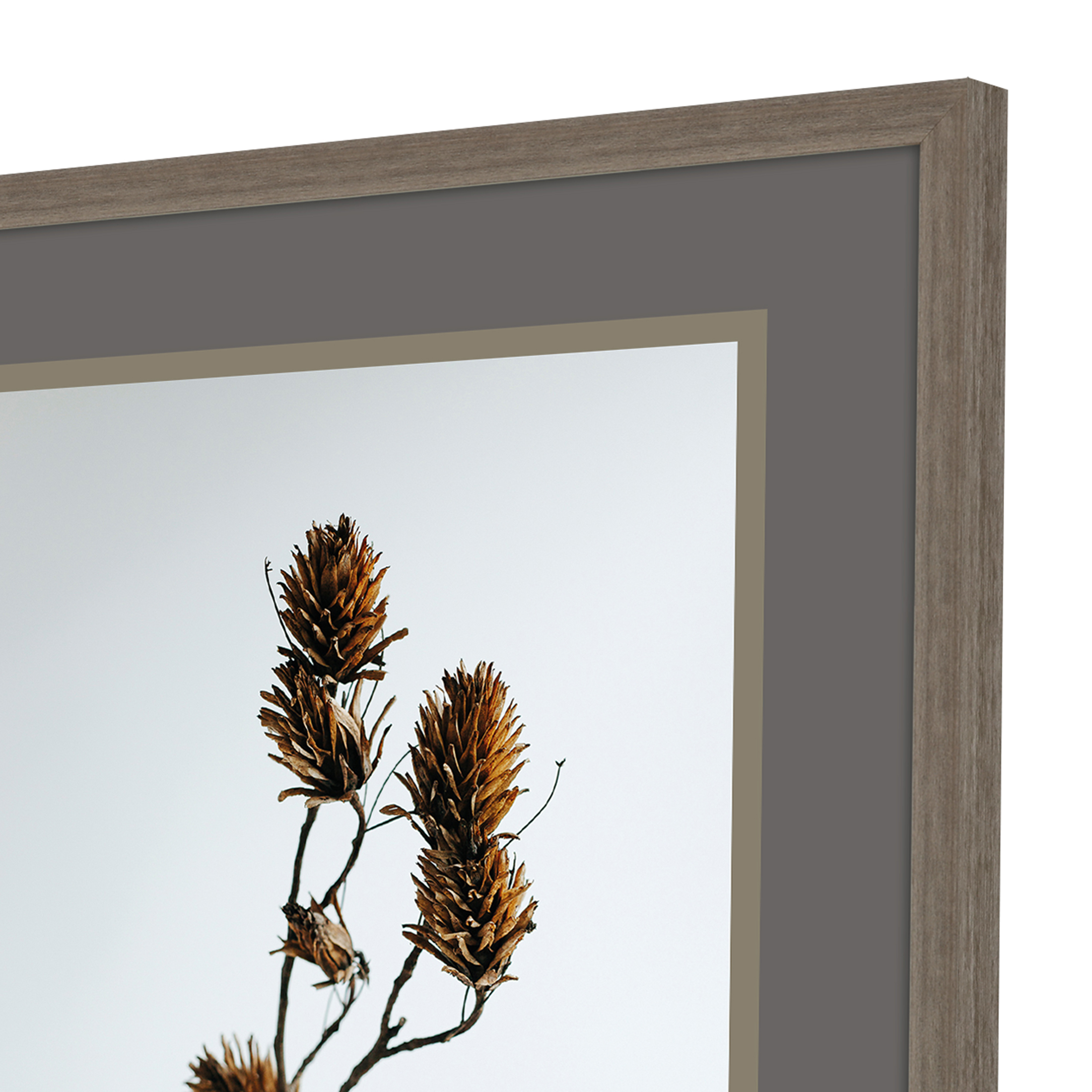 Paragon Wall Art - Dried Bud S/2 Brown Casual Florals/photography ...