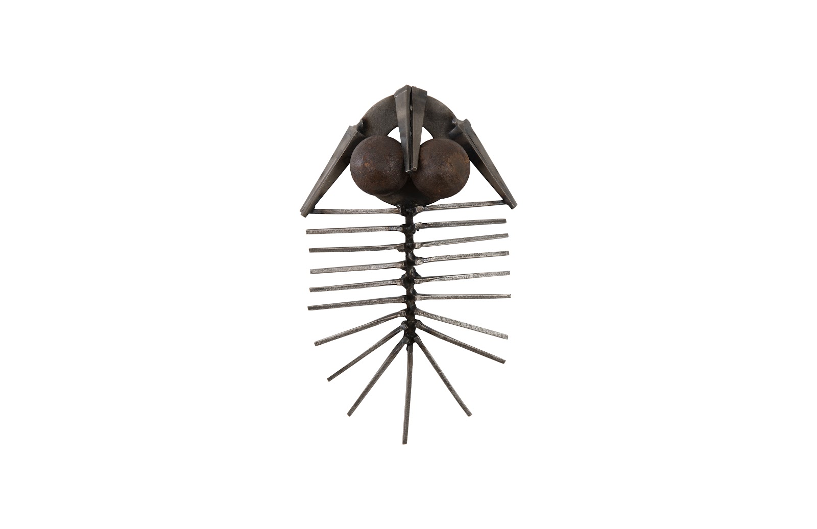 Trilobites Wall Decor, Metal | Wall Accents